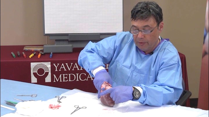 Heart Dissection Video from the James Family Heart Center • YRMC
